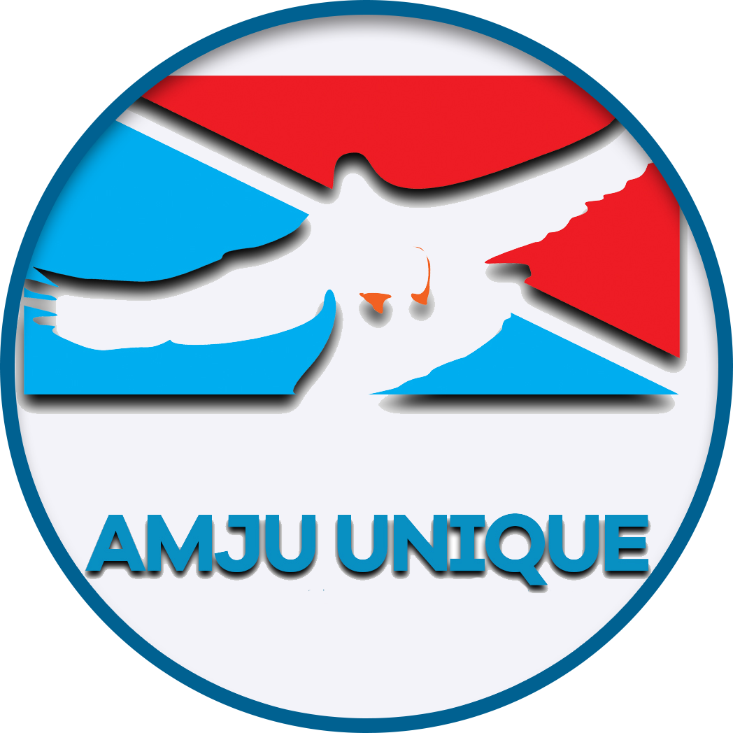 Amju Unique MFB